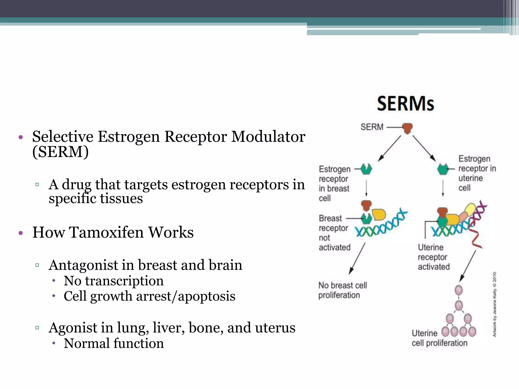 Hormonal therapy in breast cancer | PPTX