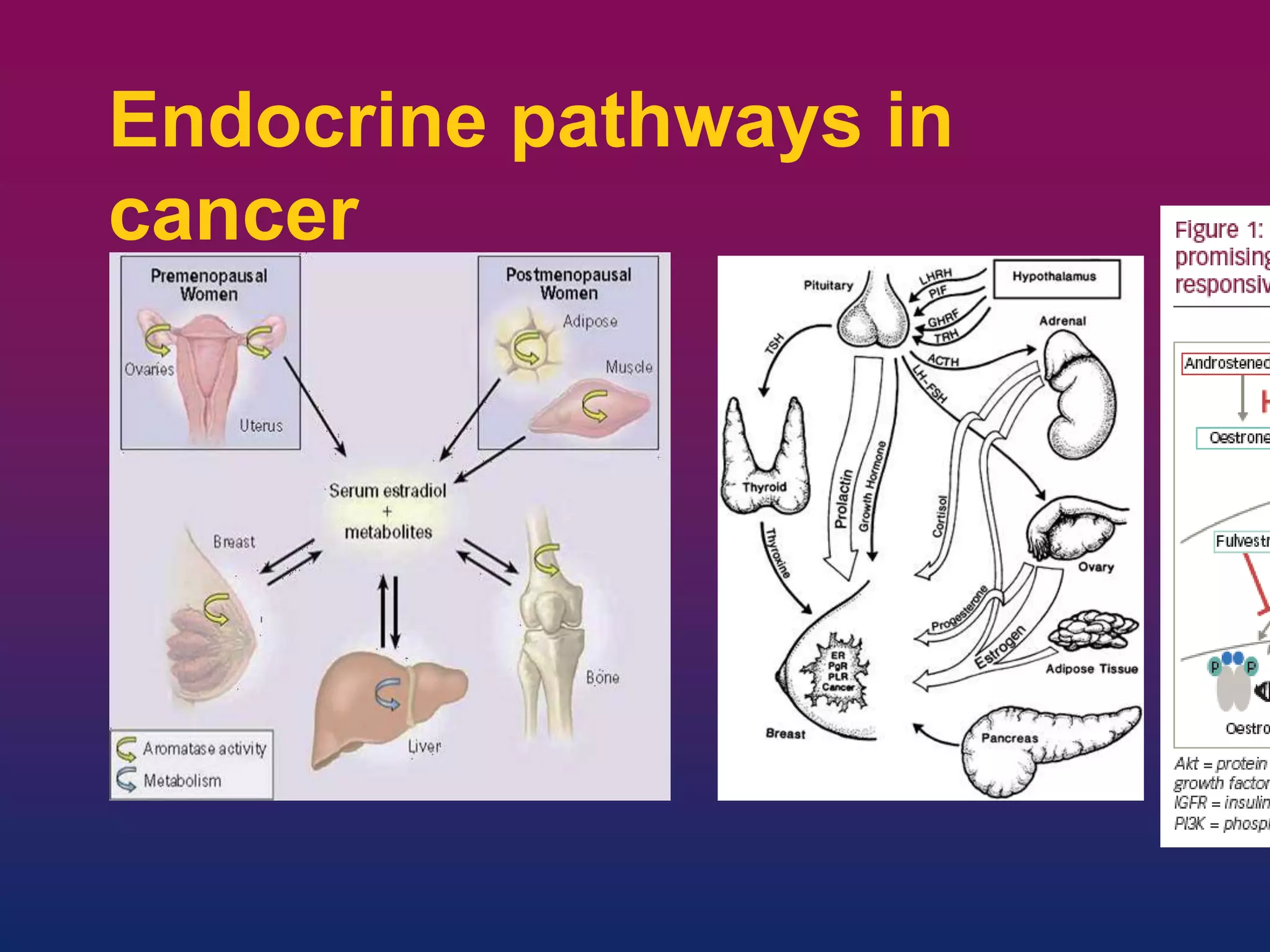 Hormonal therapy in breast cancer | PPT