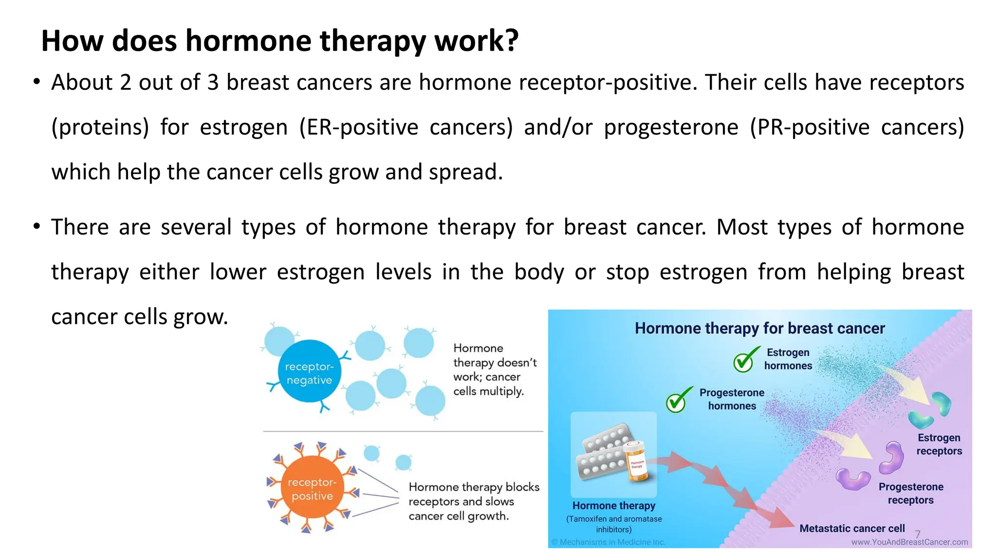 Breast Cancer /Hormonal Therapy/ Medicinal Chemistry | PDF