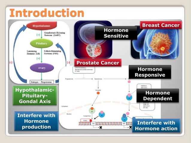 Hormonal treatment | PPT