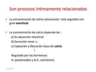 Hormona paratiroidea, calcitonina, metabolismo del calcio | PPTX