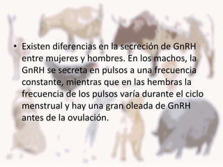 Hormonas | PPTX