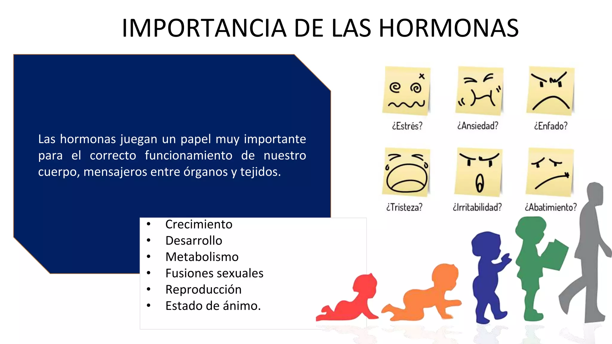 HORMONAS BIOQUÍMICA | PPTX | Hormonal Disorders | Endocrine and ...