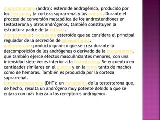 Hormonas | PPTX