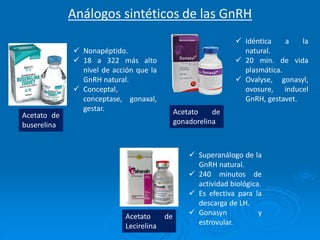 HORMONAS DE LA REPRODUCCIÓN.pdf
