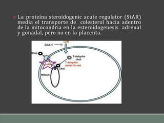 hormonas esteroideas I.pptx