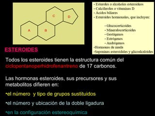 Hormonas esteroides | PPT