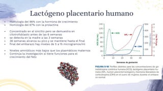 Hormonas Placentarias Obstetricia Ppt