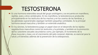 HORMONAS SEXUALES.pptx
