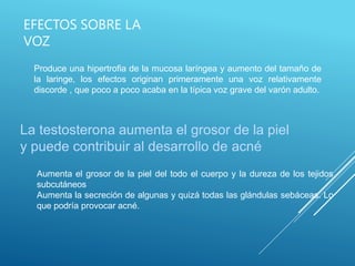 Hormonas sexuales masculinas y su fisiología | PPTX