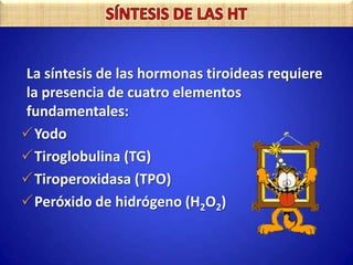 Hormonas tiroideas 2 | PPTX