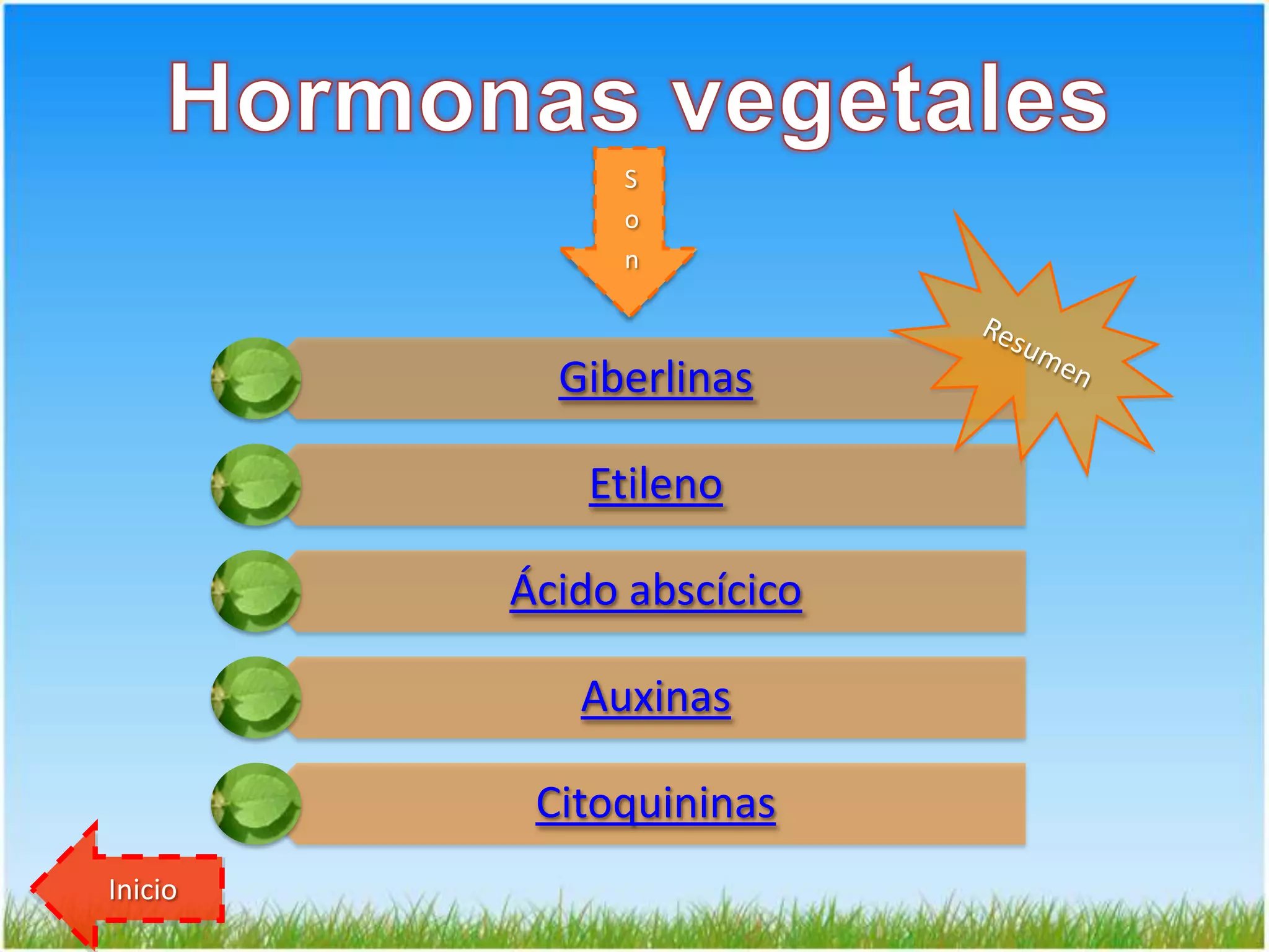 Hormonas vegetales | PPSX