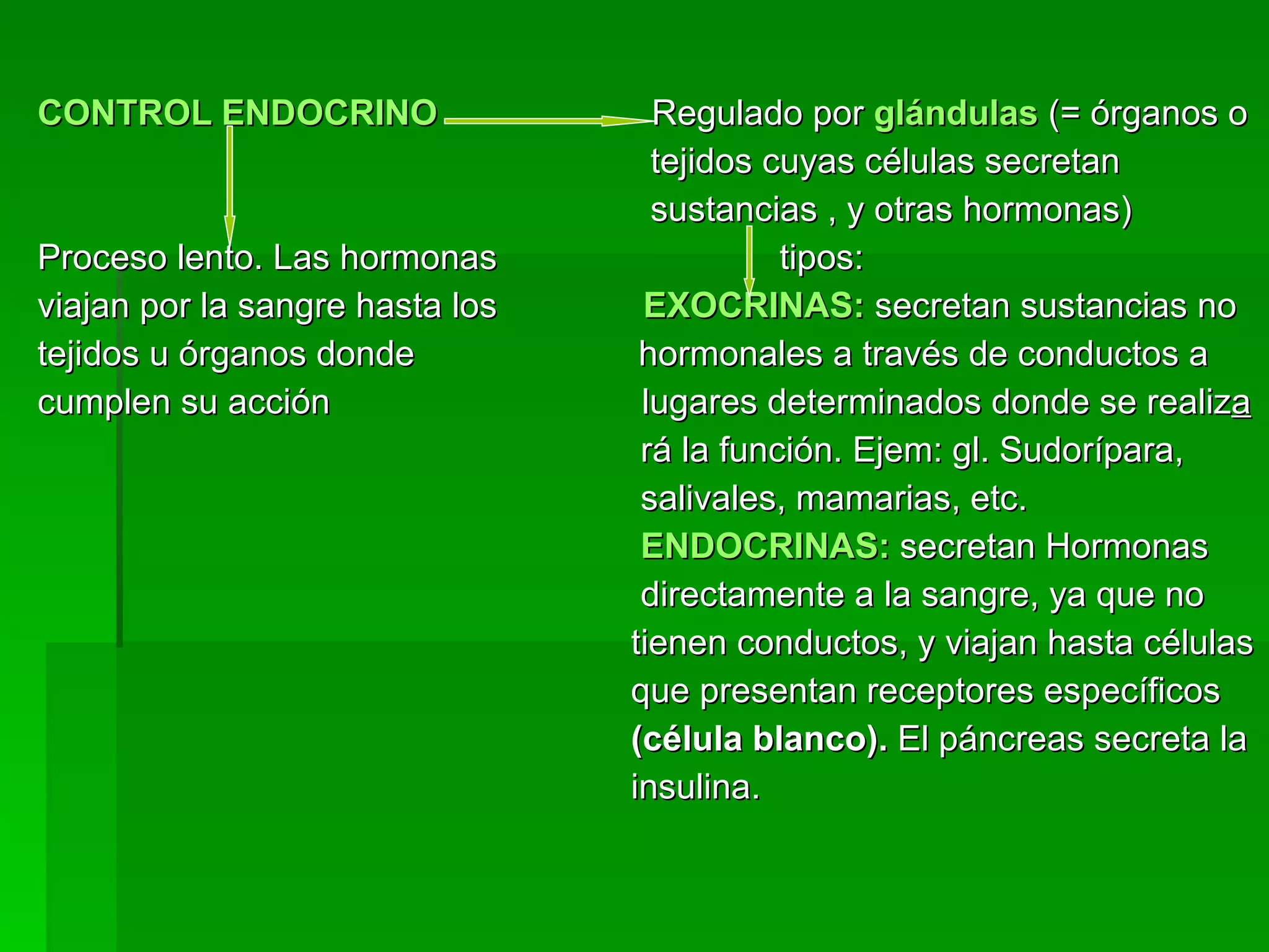 Hormonas y control hormonal | PPT | Endocrine and Metabolic Diseases ...