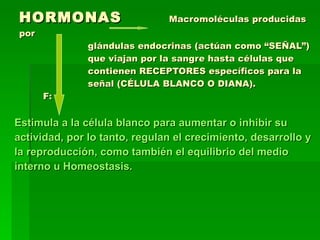Hormonas y control hormonal | PPT