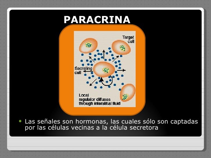 Hormonas y receptores