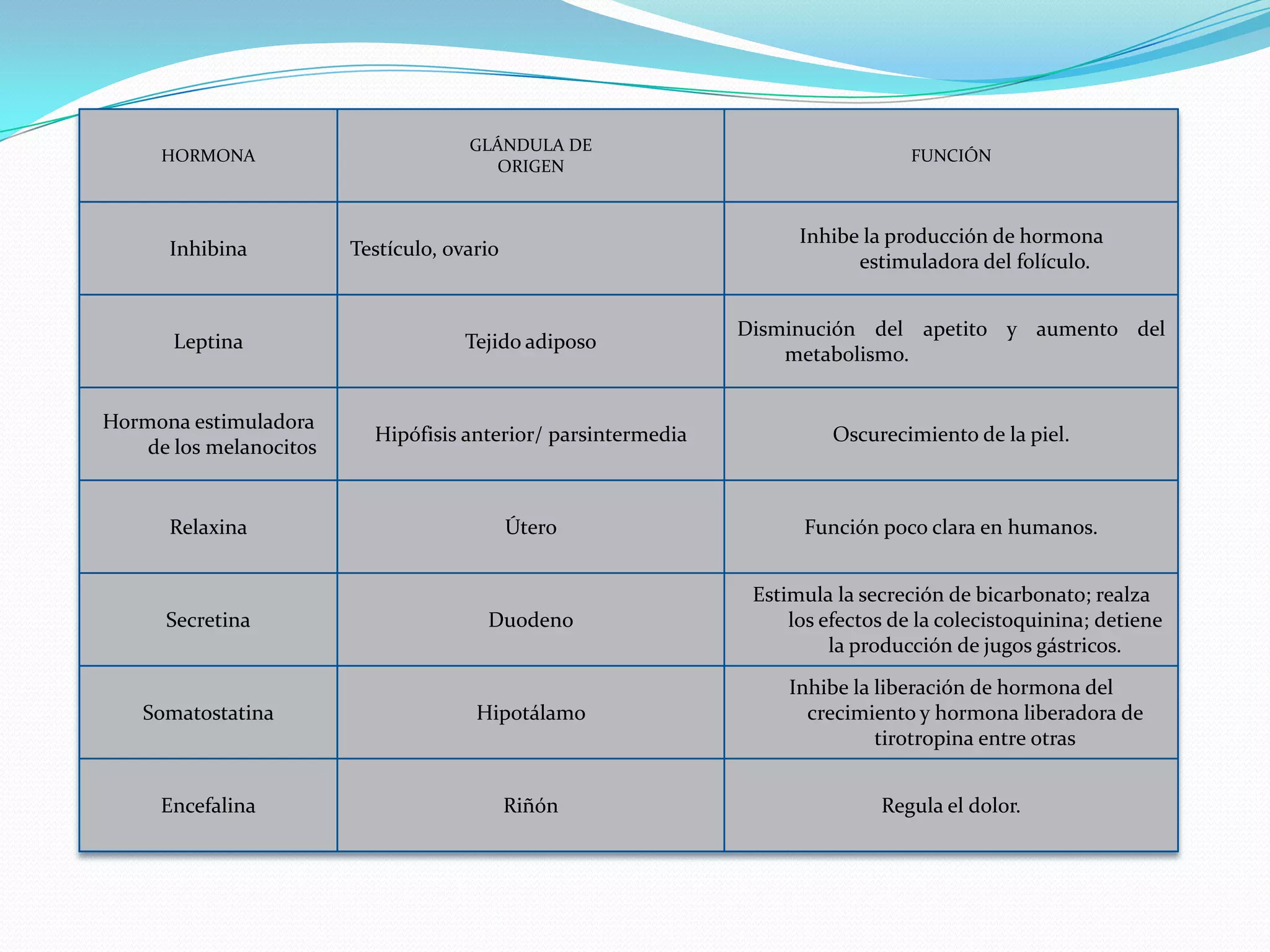 Hormonas y sus funciones Deniz Jiménez | PPTX | Endocrine and Metabolic ...