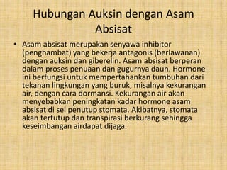 Hormon auksin | PPTX