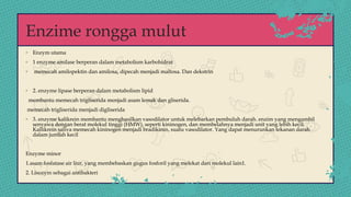 Hormon dan Enzim Rongga Mulut.pptx