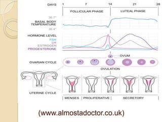 Hormon dan mekanisme menstruasi | PPTX