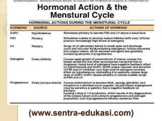 Hormon dan mekanisme menstruasi | PPTX