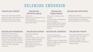 Hormon dan reproduksi kel 7 patbhejj.pdf