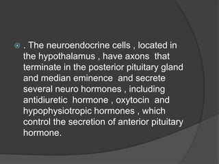 Hormone | PPTX