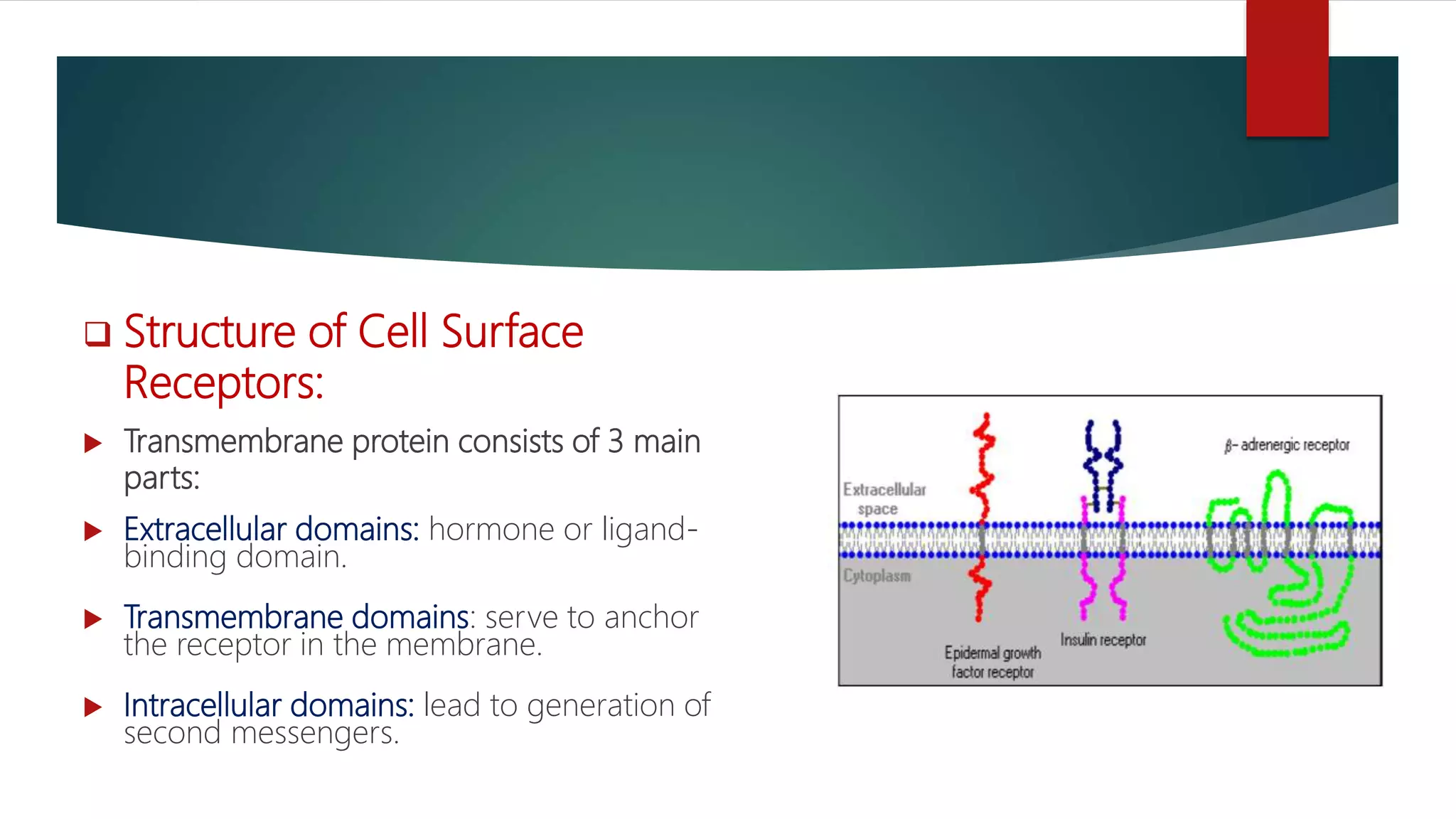 Hormone Action and Signal Transduction.pptx