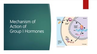 Hormone Action and Signal Transduction.pptx