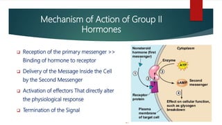 Hormone Action and Signal Transduction.pptx