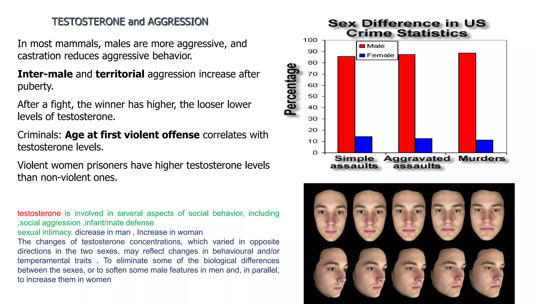 hormone and behaviour.ppt
