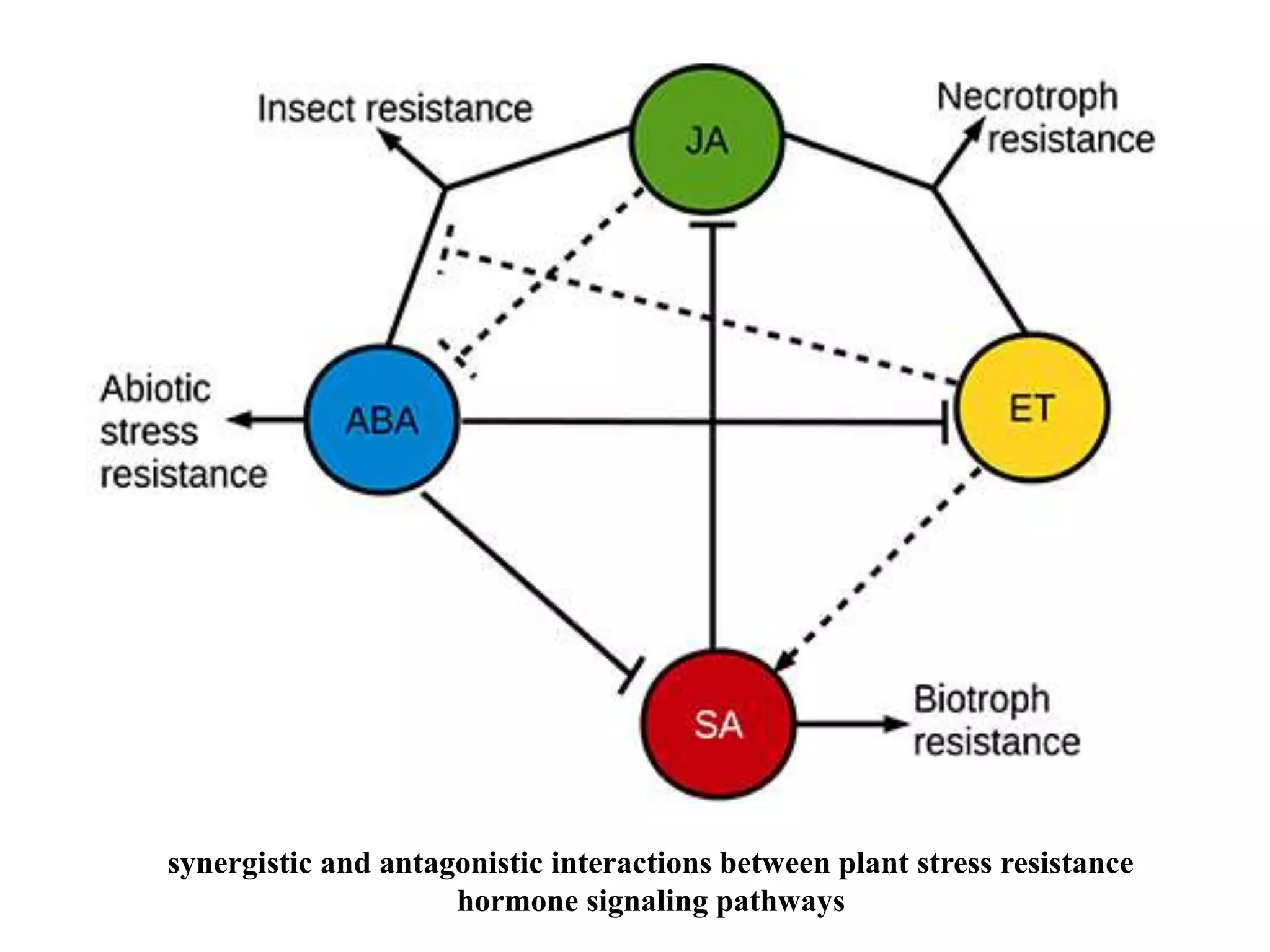 Hormone crosstalk in plant disease and defense | PPTX