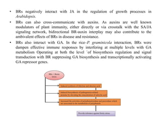 Hormone crosstalk in plant disease and defense | PPTX