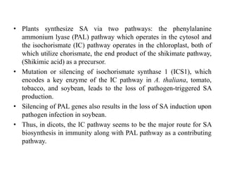 Hormone crosstalk in plant disease and defense | PPTX