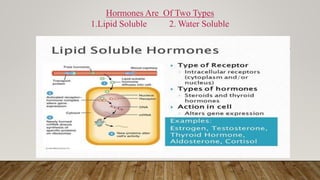 Hormone introduction | PPTX
