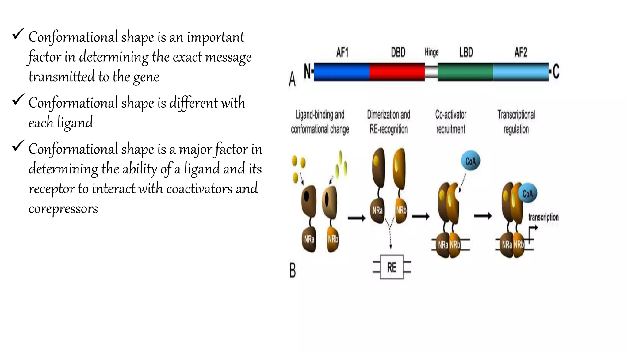 Hormone mechanism of action | PPTX