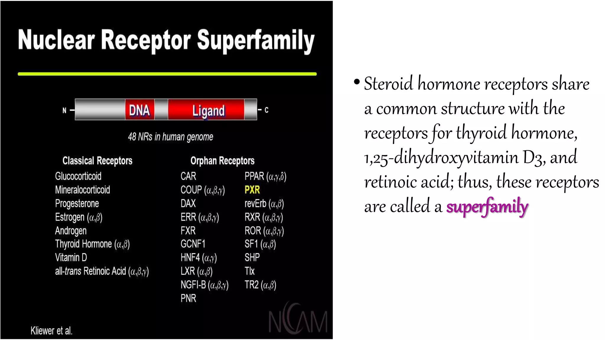 Hormone mechanism of action | PPTX