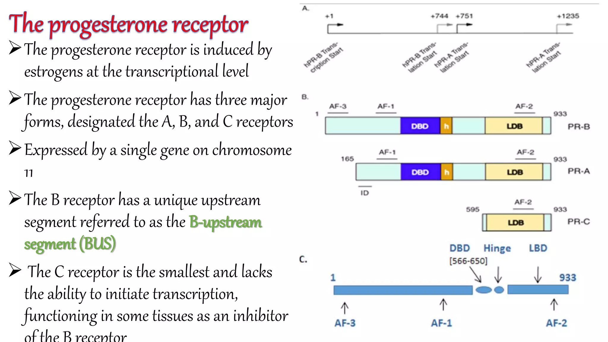 Hormone mechanism of action | PPTX