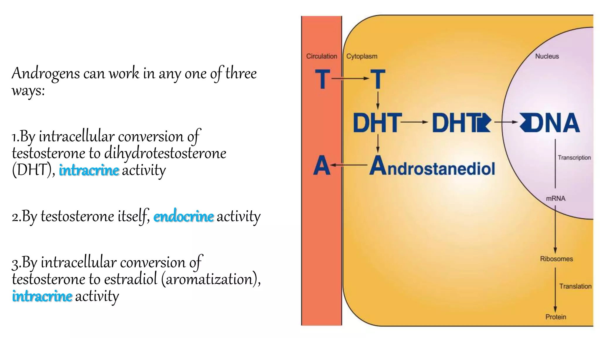 Hormone mechanism of action | PPTX