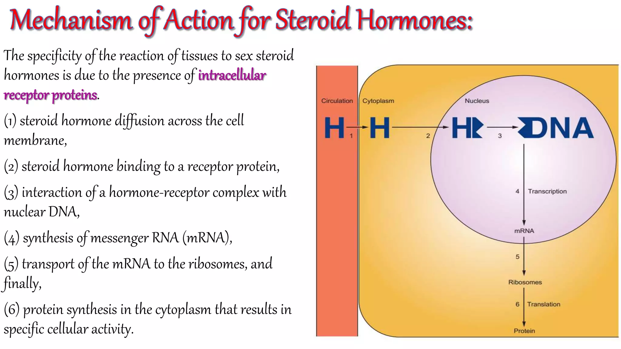Hormone mechanism of action | PPTX