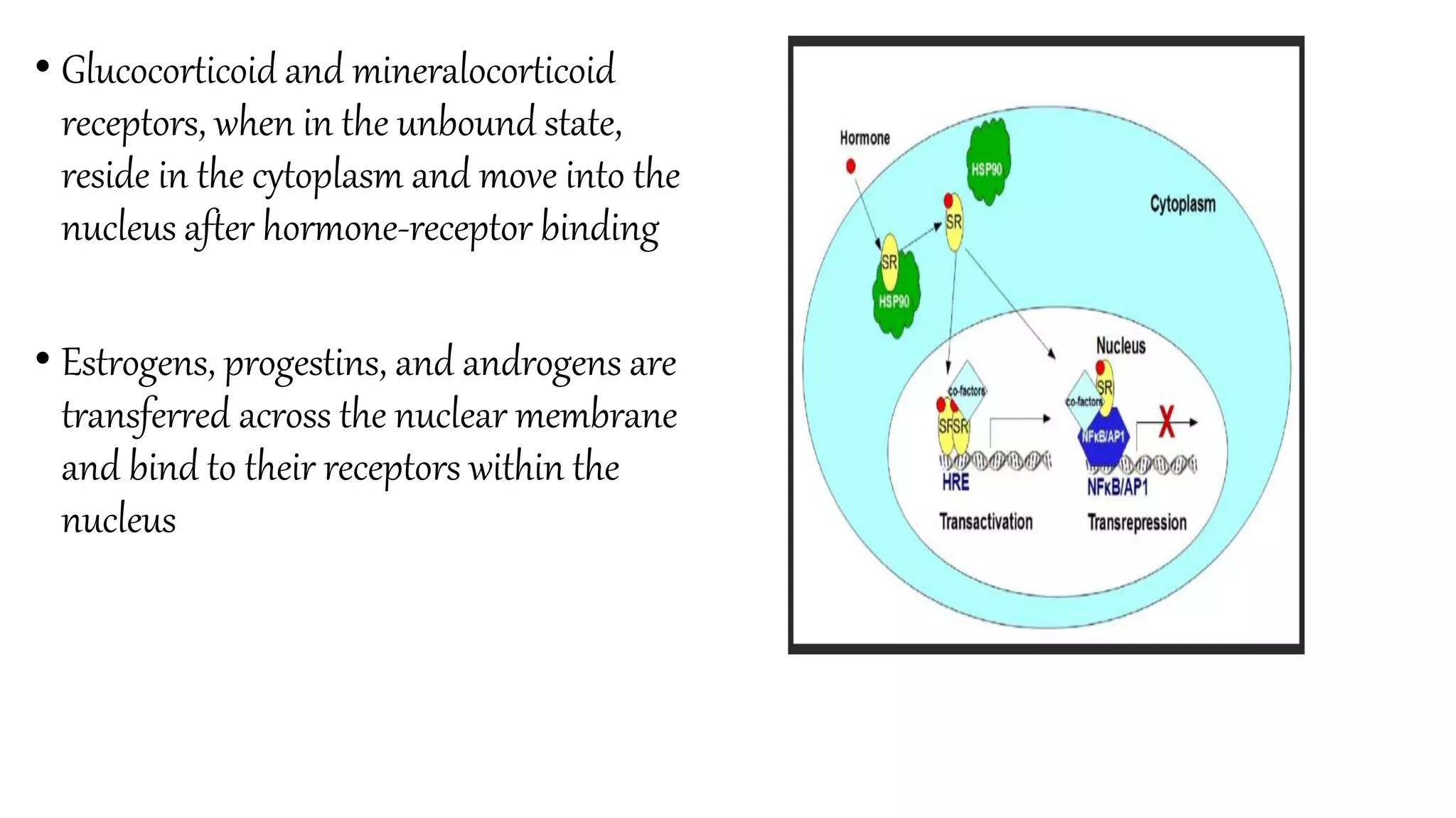 Hormone mechanism of action | PPTX