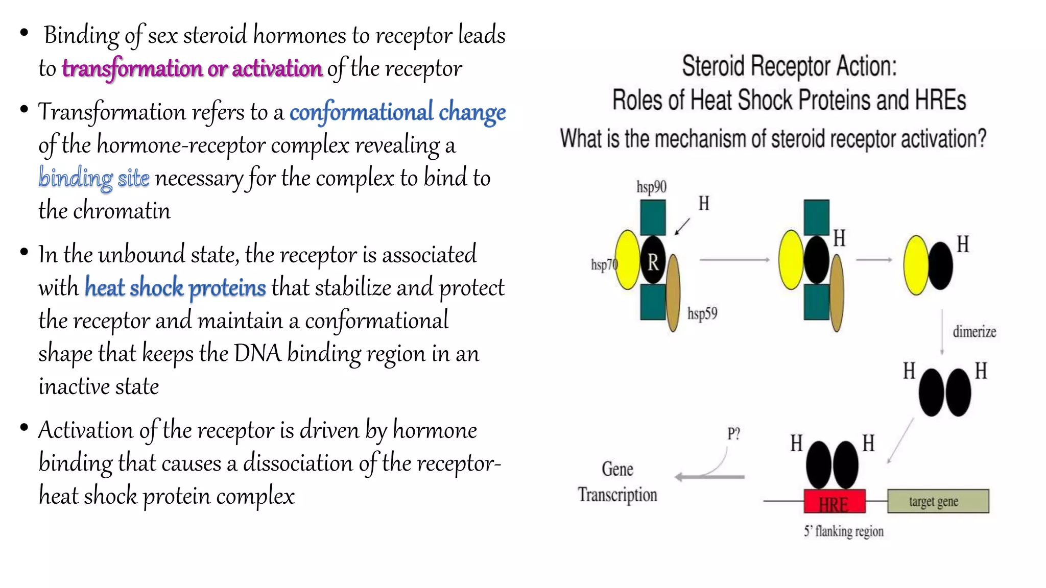 Hormone mechanism of action | PPTX