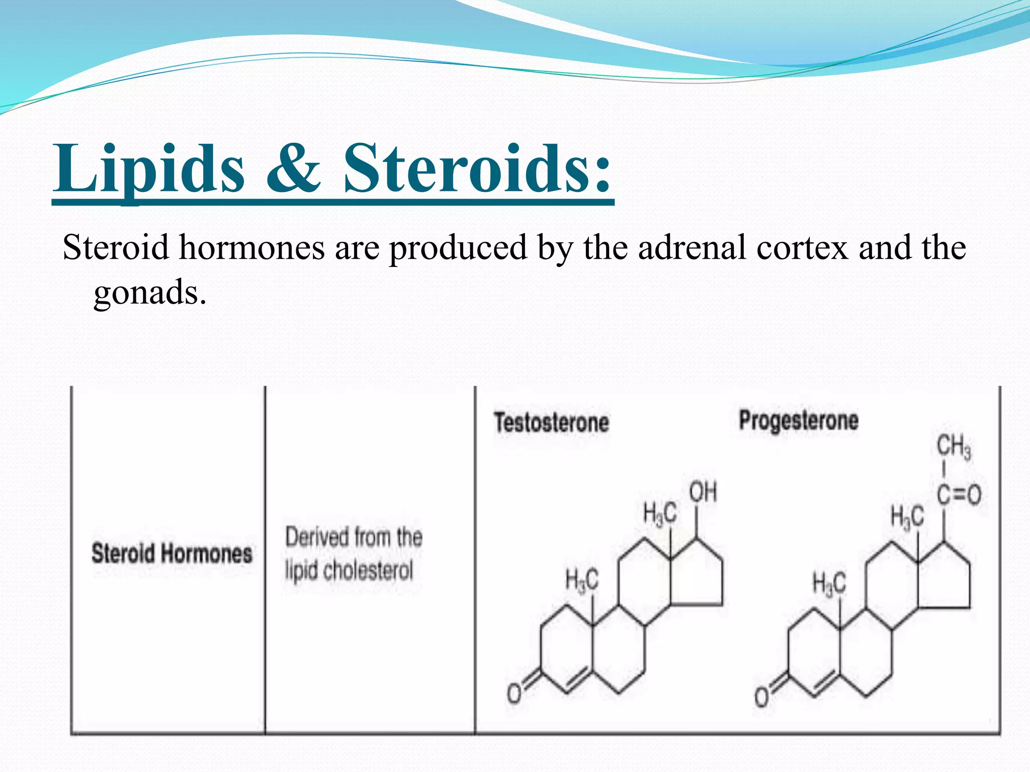 Biochemistry Of Hormones | PPTX