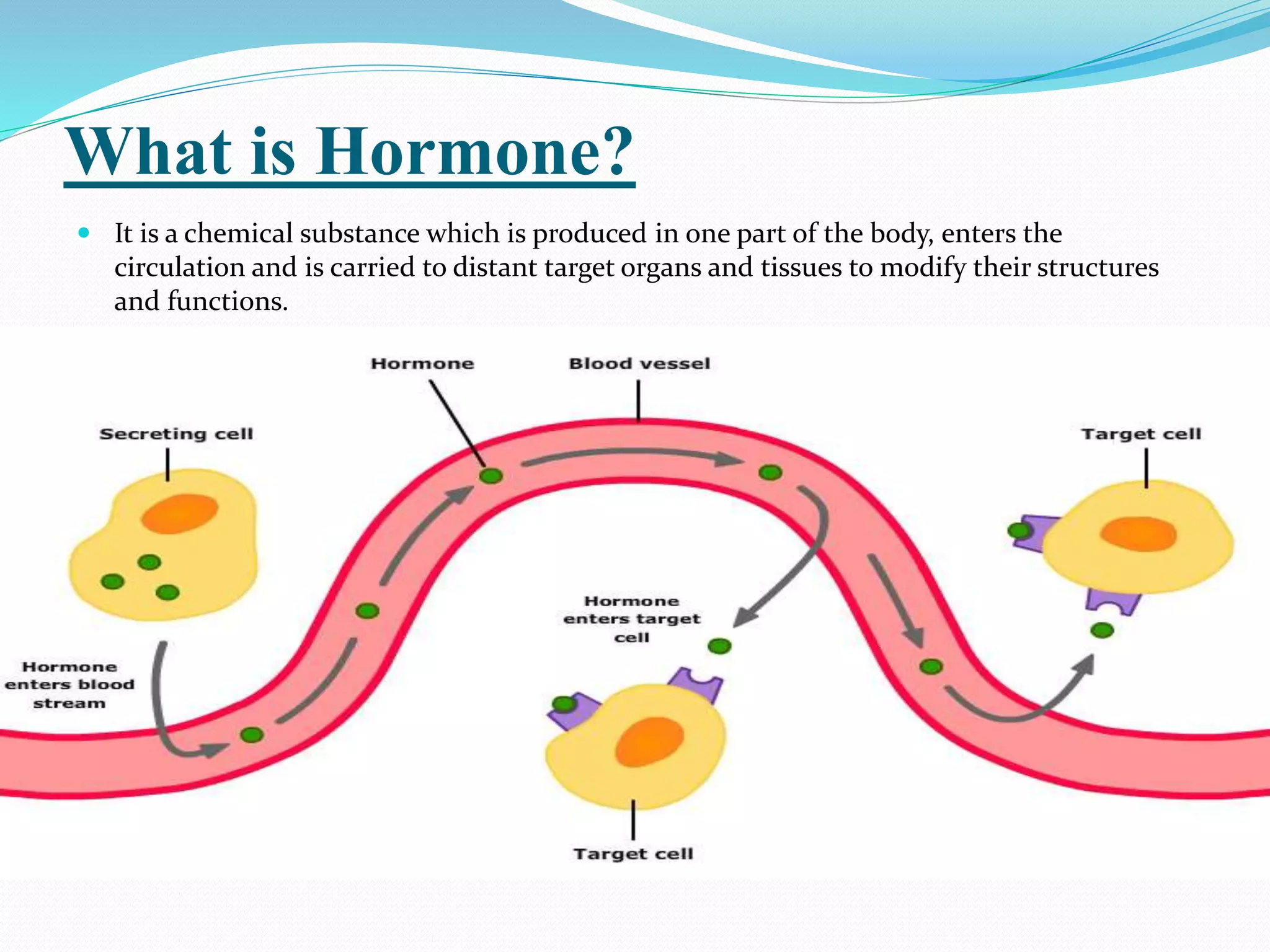 Biochemistry Of Hormones | PPTX
