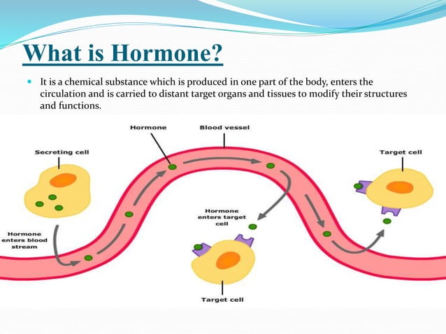 Biochemistry Of Hormones