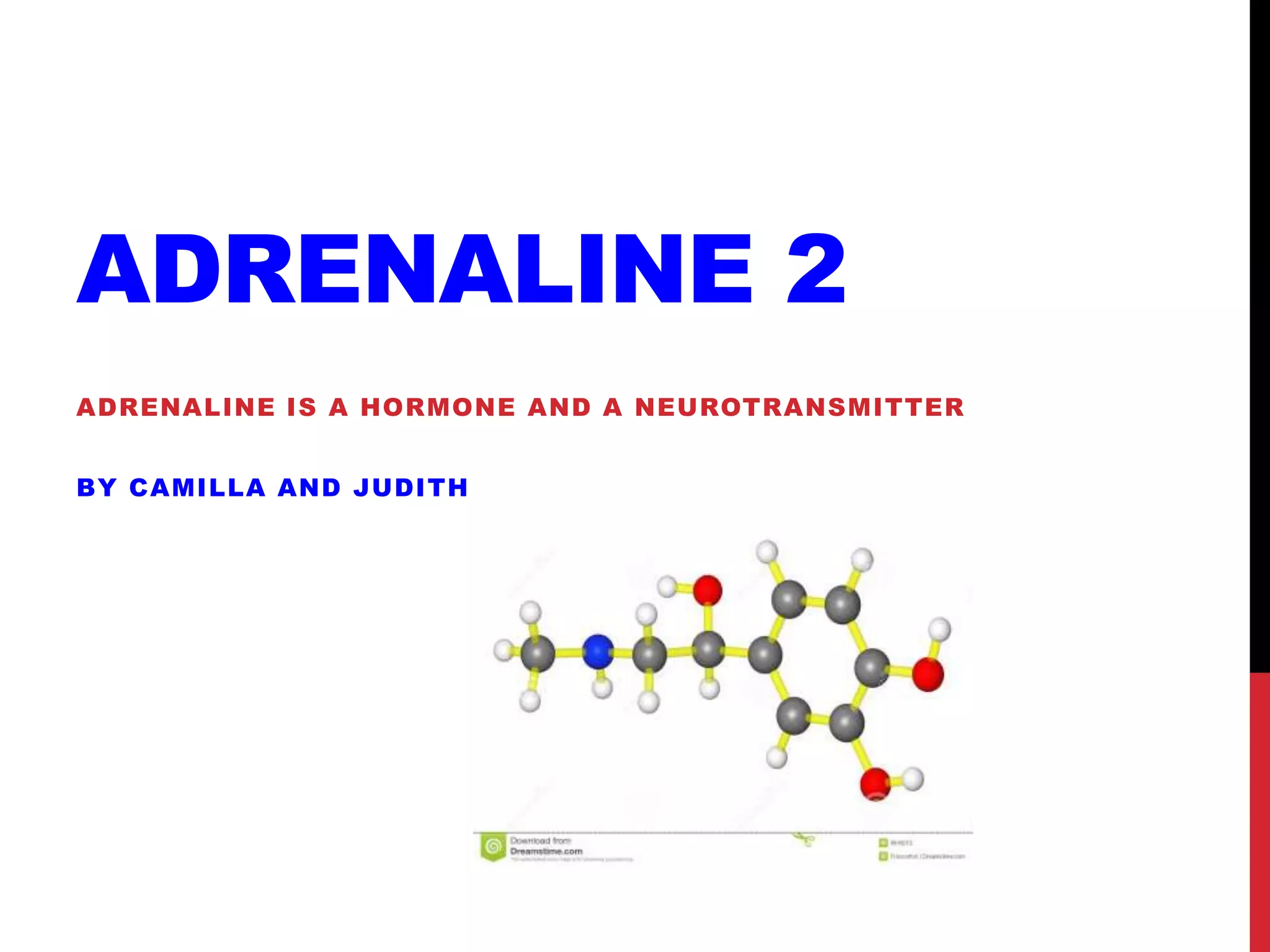 Hormone presesentation adrenaline 2 | PPTX