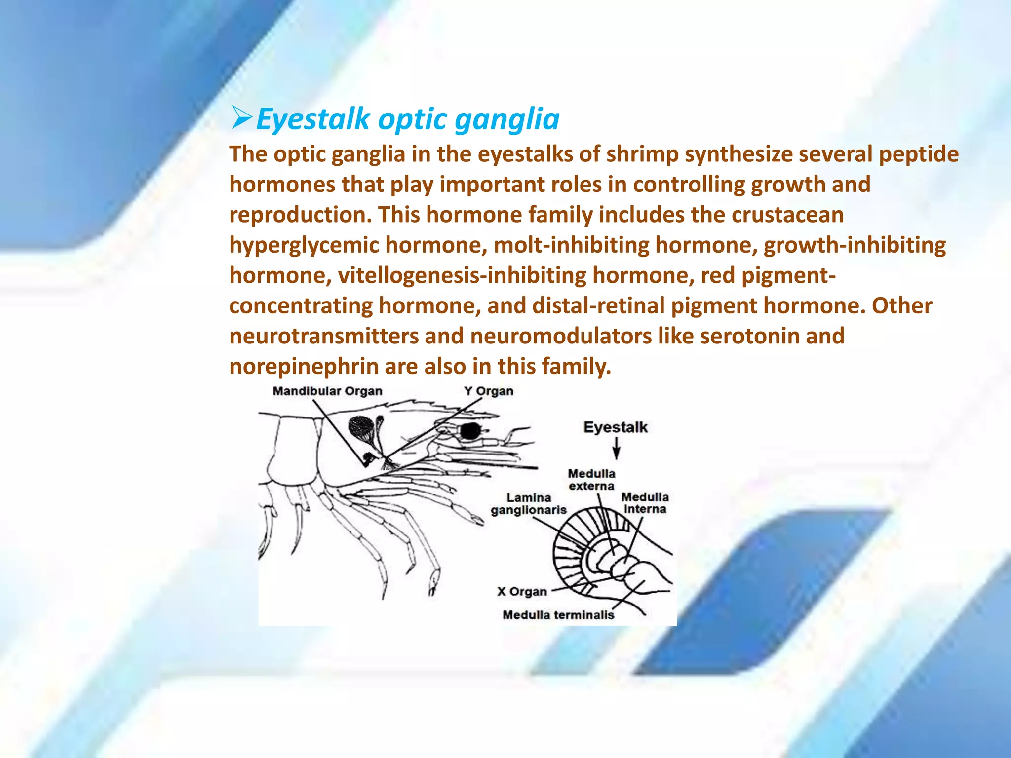 HORMONE REPRODUCTION FOR FIN FISH AND SHELL FISH.pptx