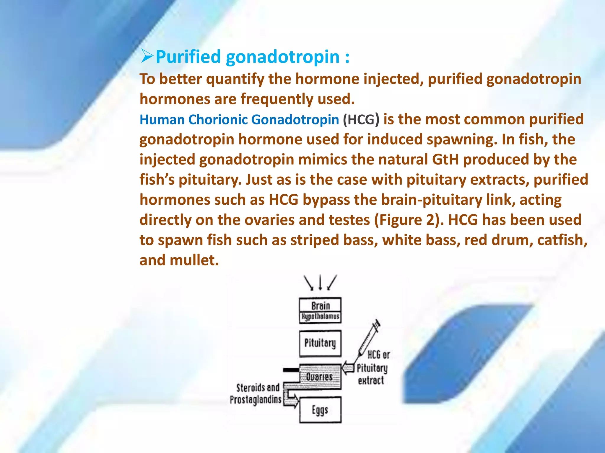 HORMONE REPRODUCTION FOR FIN FISH AND SHELL FISH.pptx