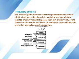 HORMONE REPRODUCTION FOR FIN FISH AND SHELL FISH.pptx