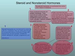 Hormones | PPT