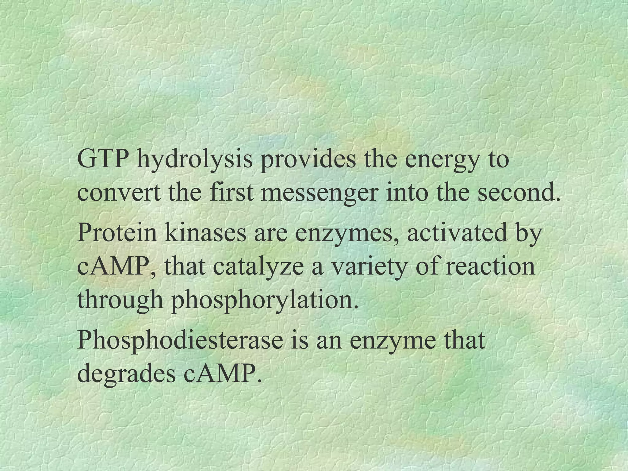 Hormones | PPT